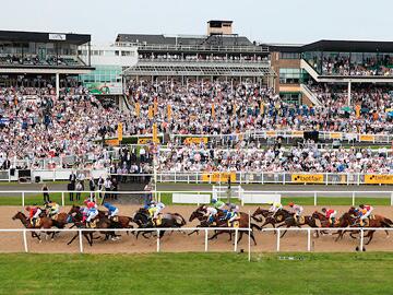 Newcastle Races | High Gosforth Park | Newcastle Racecourse