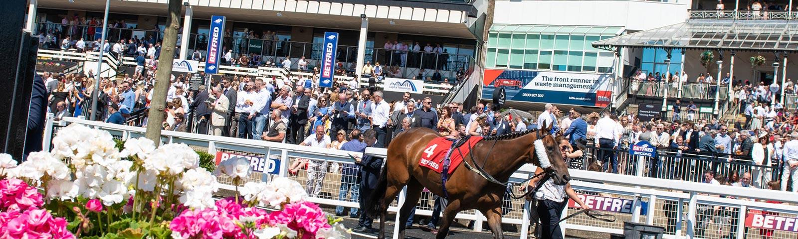 Newcastle Races | High Gosforth Park | Newcastle Racecourse