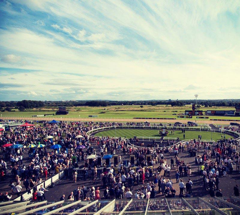 Northumberland Plate Festival | Newcastle Racecourse