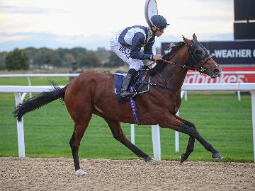 Newcastle Races | High Gosforth Park | Newcastle Racecourse