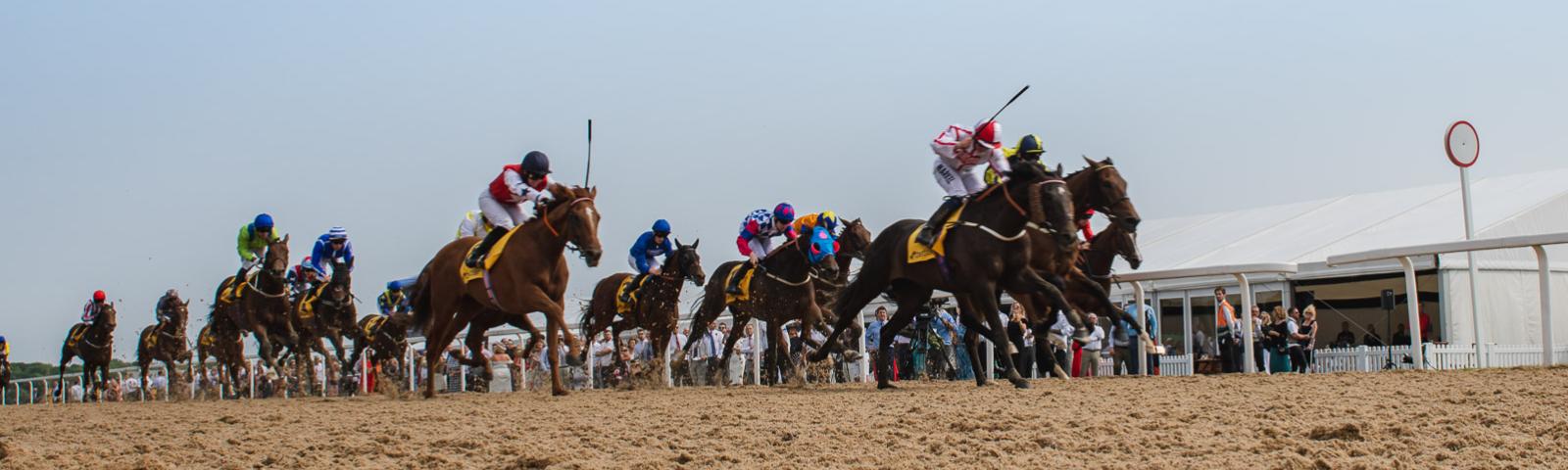 Betting At Newcastle | Newcastle Racecourse