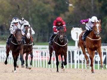 Newcastle Races | High Gosforth Park | Newcastle Racecourse