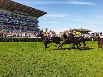 Newcastle Races | High Gosforth Park | Newcastle Racecourse