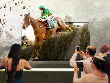 Newcastle Races | High Gosforth Park | Newcastle Racecourse