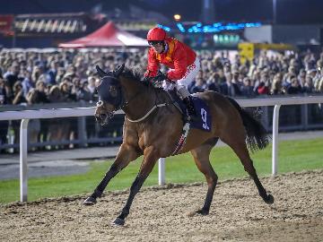 Newcastle Races | High Gosforth Park | Newcastle Racecourse