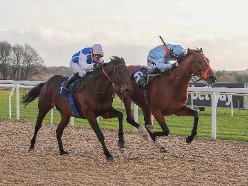 Newcastle Races | High Gosforth Park | Newcastle Racecourse