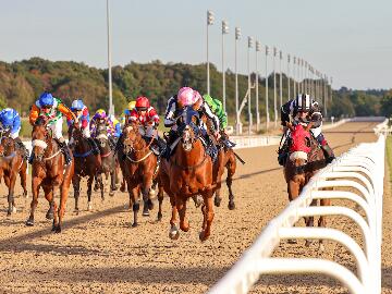 Newcastle Races | High Gosforth Park | Newcastle Racecourse