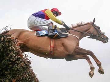 Newcastle Races | High Gosforth Park | Newcastle Racecourse