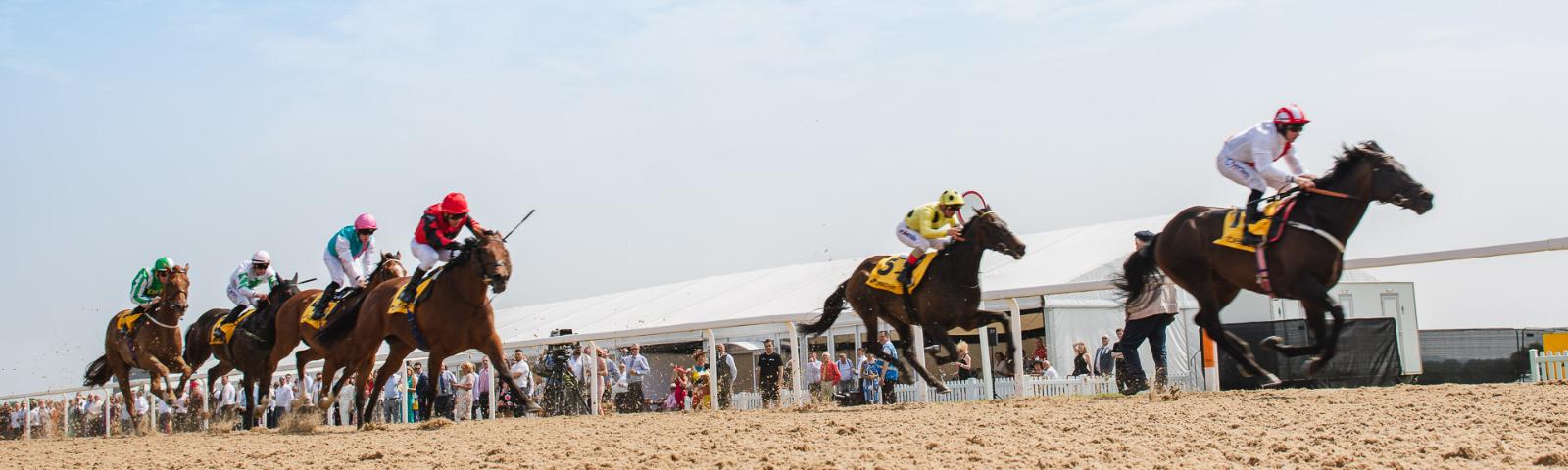 Newcastle Races | High Gosforth Park | Newcastle Racecourse