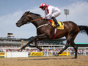 Newcastle Races | High Gosforth Park | Newcastle Racecourse