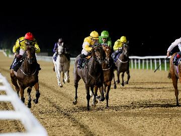 Newcastle Racecourse