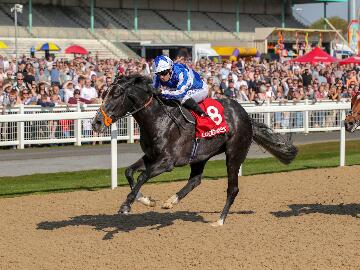 Newcastle Races | High Gosforth Park | Newcastle Racecourse