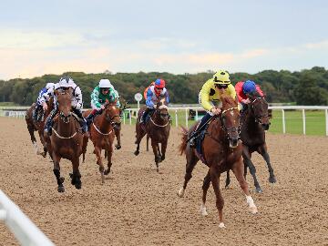 2025 Racing Fixtures Announced! | Newcastle Racecourse