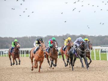 Racing | Newcastle Racecourse