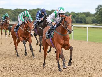 Newcastle Racecourse