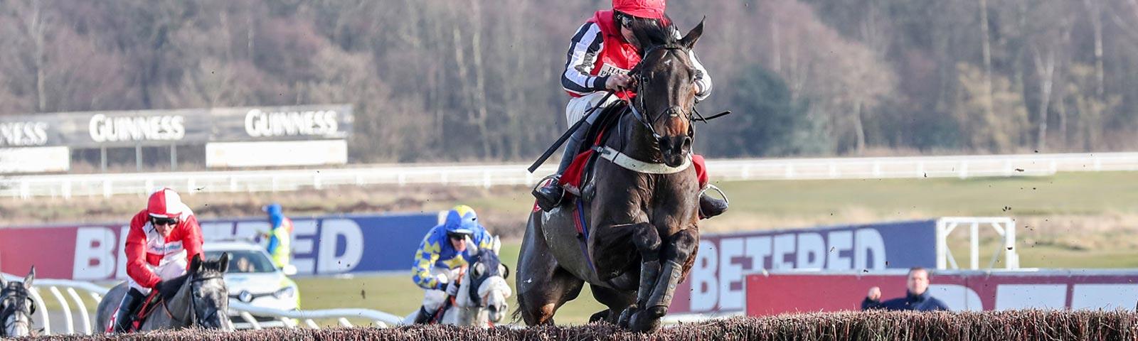 Newcastle Races | High Gosforth Park | Newcastle Racecourse