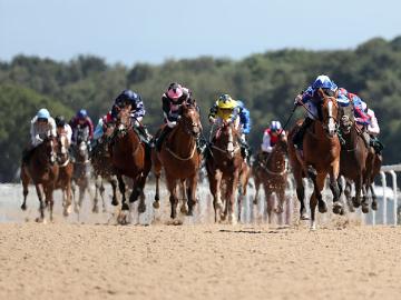 Newcastle Races | High Gosforth Park | Newcastle Racecourse