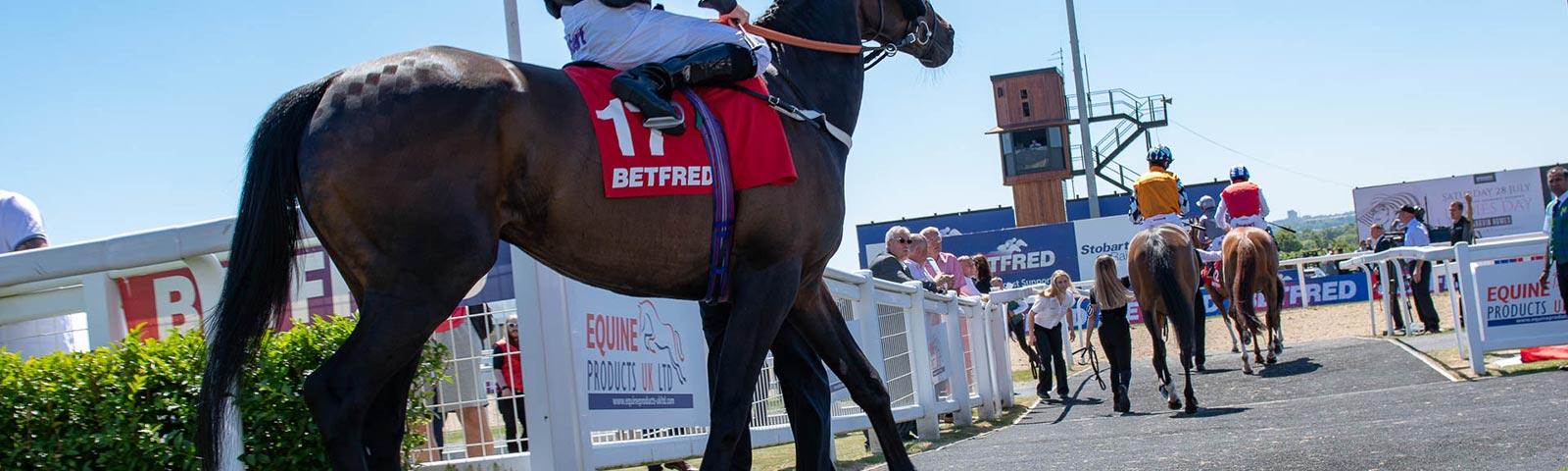 About Us | Newcastle Racecourse