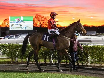 Newcastle Racecourse