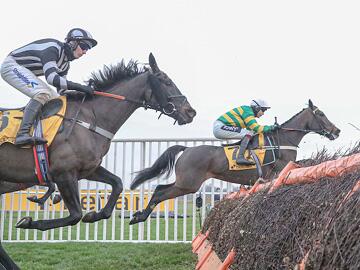 Newcastle Races | High Gosforth Park | Newcastle Racecourse